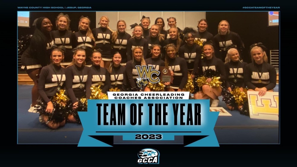WCHS Cheerleaders are Team of the Year | Wayne County High School